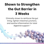 natural probiotics for daily wellness