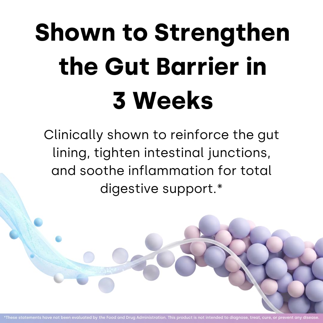 natural probiotics for daily wellness