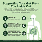 natural probiotics for digestive balance