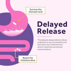 natural probiotics for digestive comfort