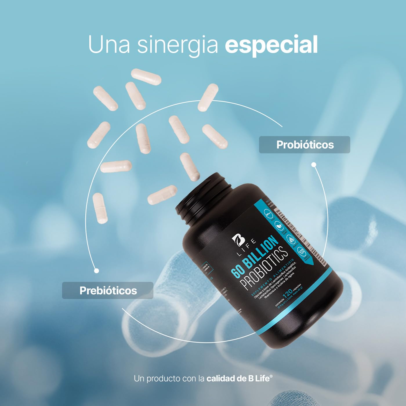 natural probiotics for digestive comfort