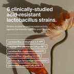 natural probiotics for digestive support
