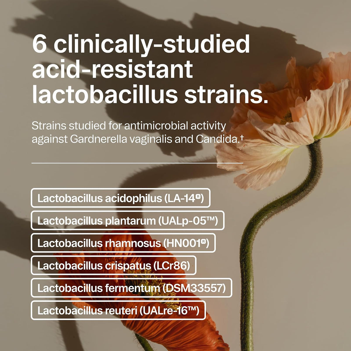 natural probiotics for digestive support