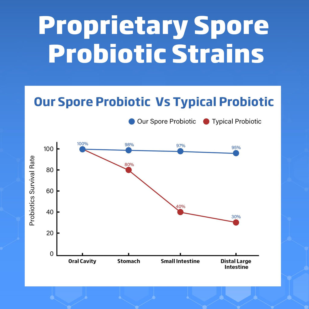 Natural probiotics for digestive wellness