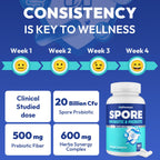 natural probiotics for everyday wellness