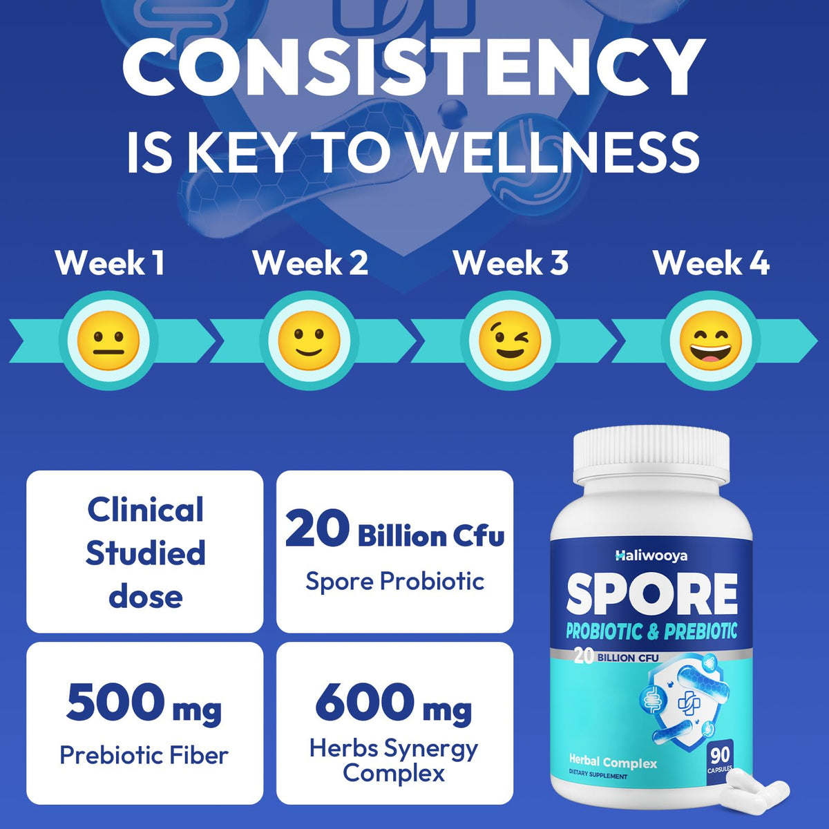 natural probiotics for everyday wellness
