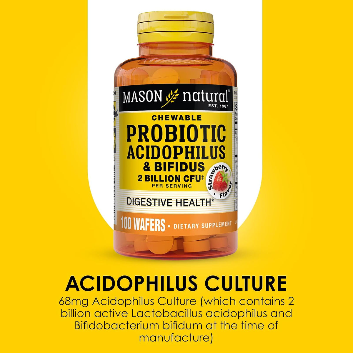 Natural probiotics for everyday wellness