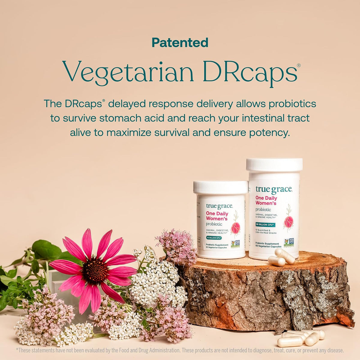 natural probiotics for everyday wellness