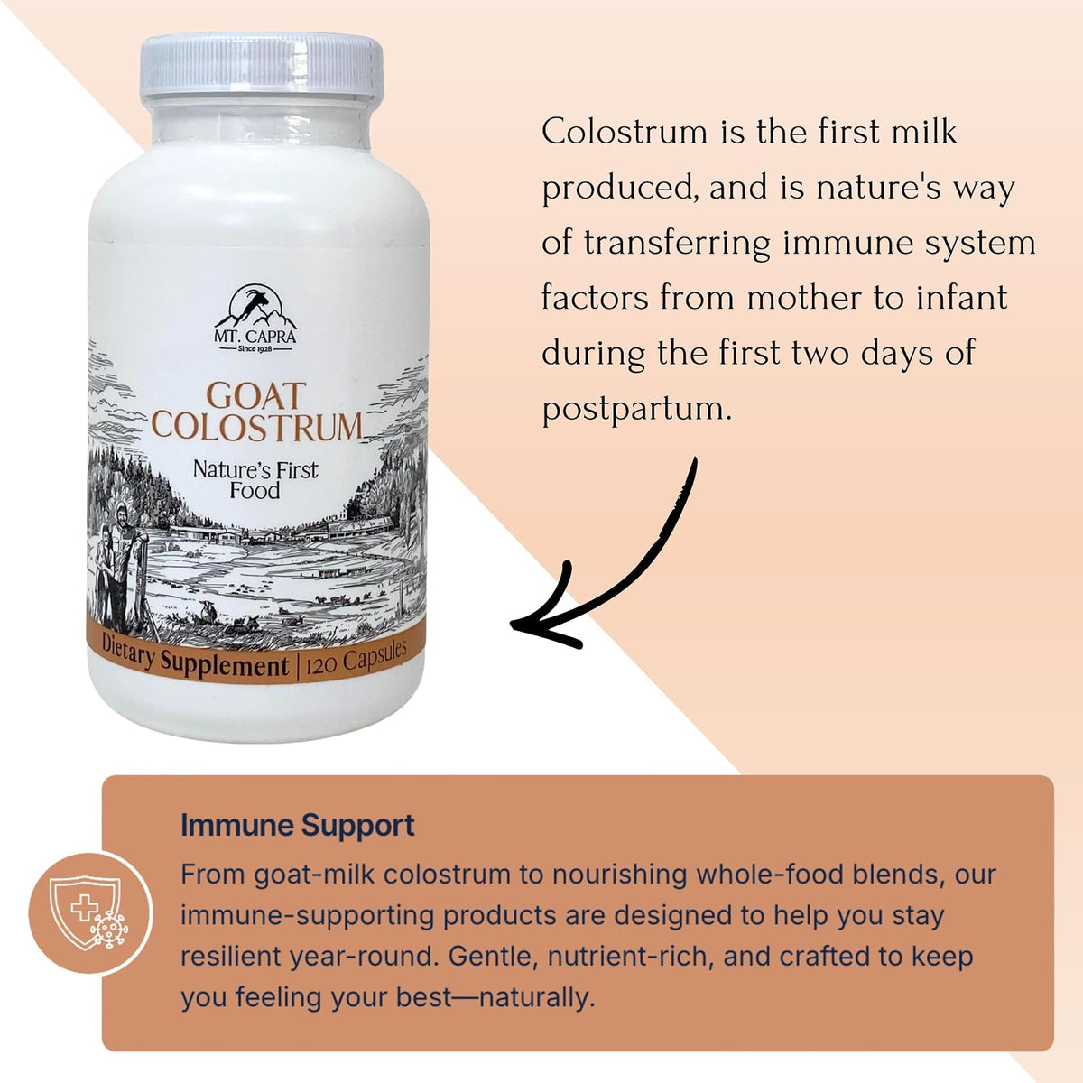 natural probiotics for gut balance