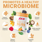 natural probiotics for gut balance