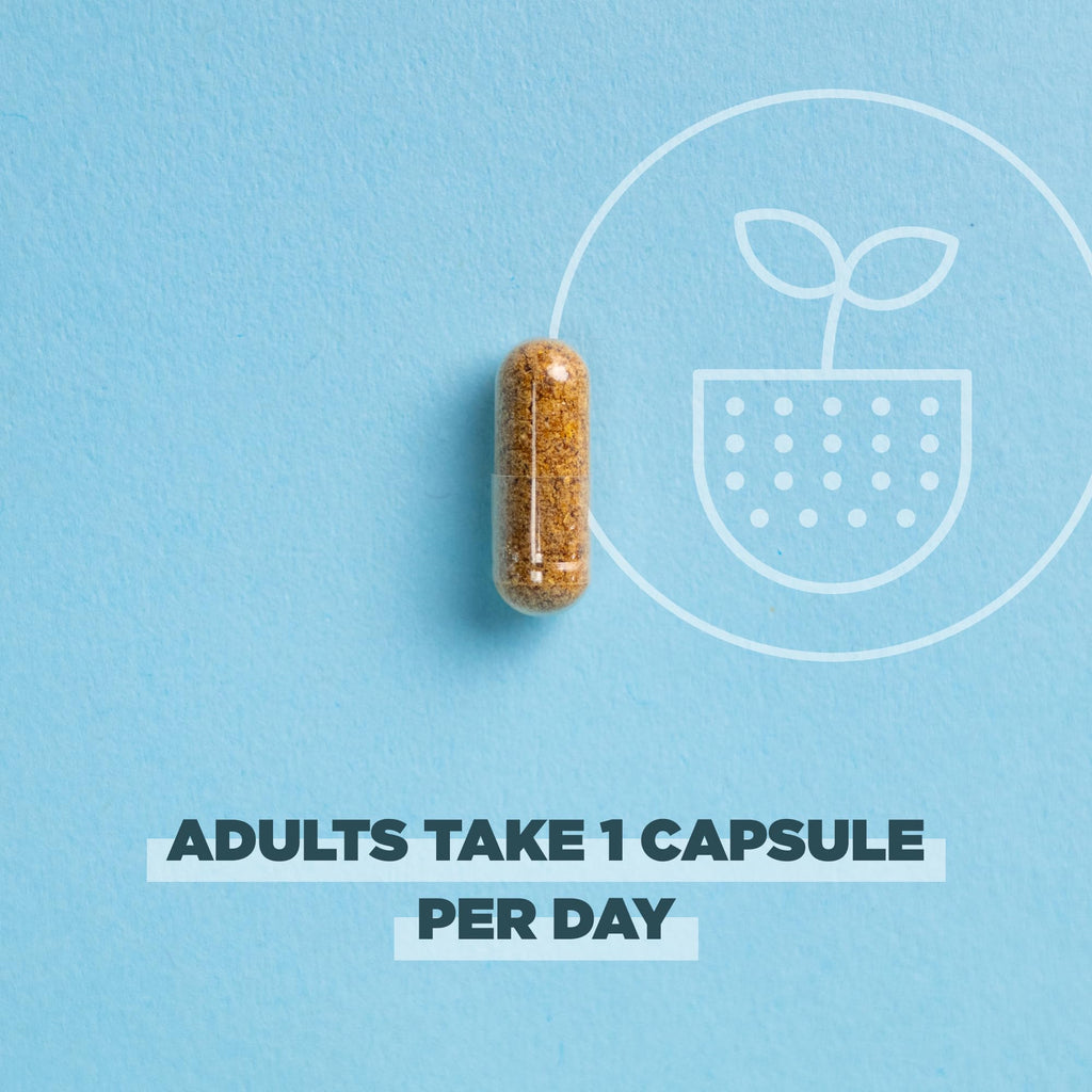 natural probiotics for gut health