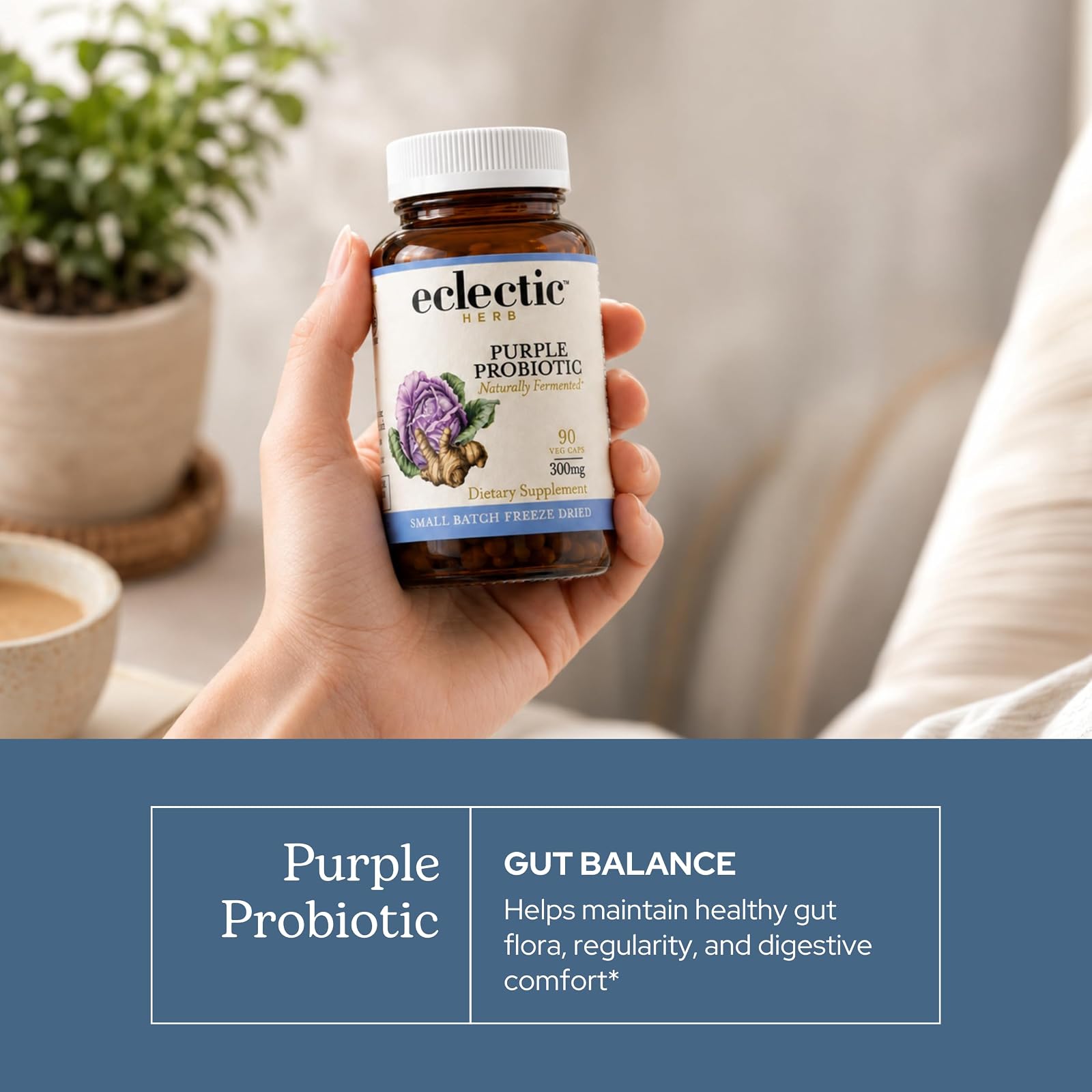 natural probiotics for gut health