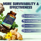 natural probiotics for immune health