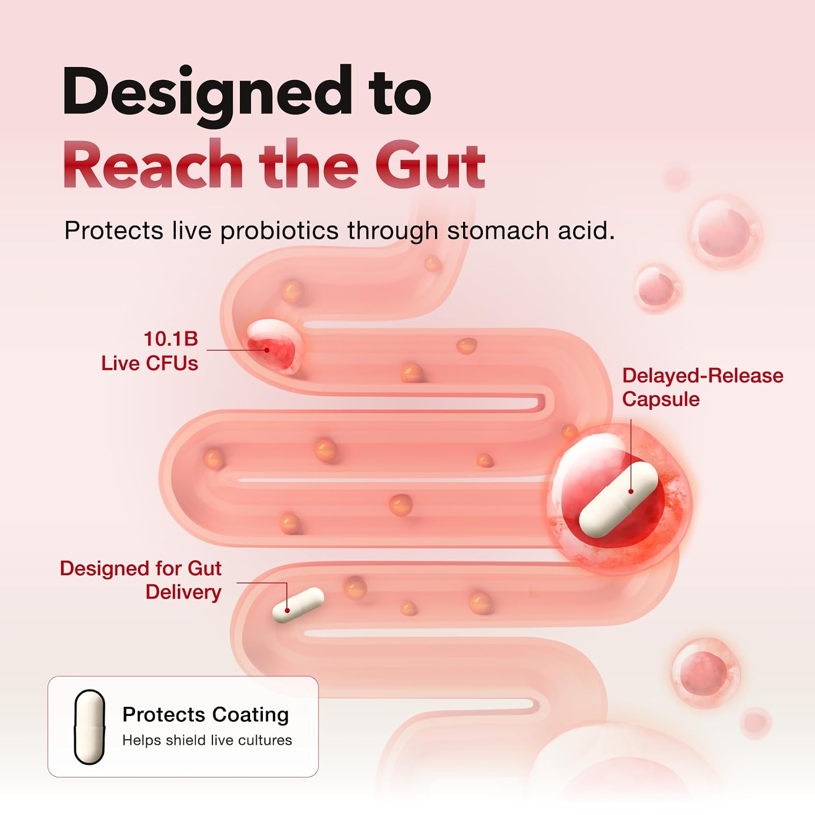 Natural probiotics for improved digestion