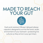 natural probiotics for men's digestion