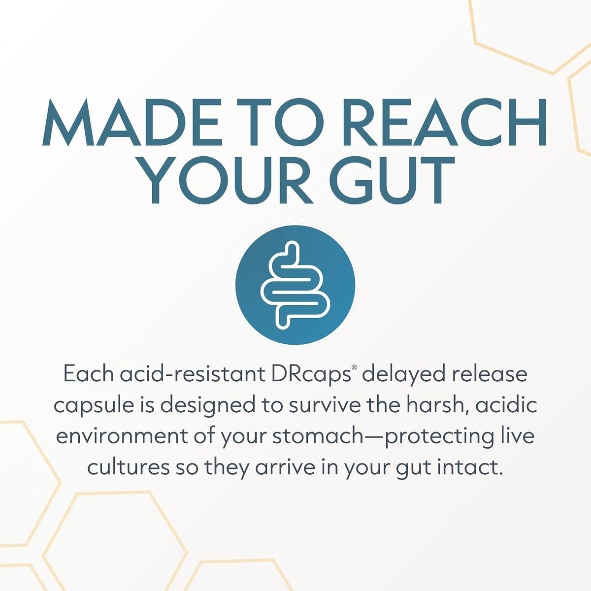 natural probiotics for men's digestion