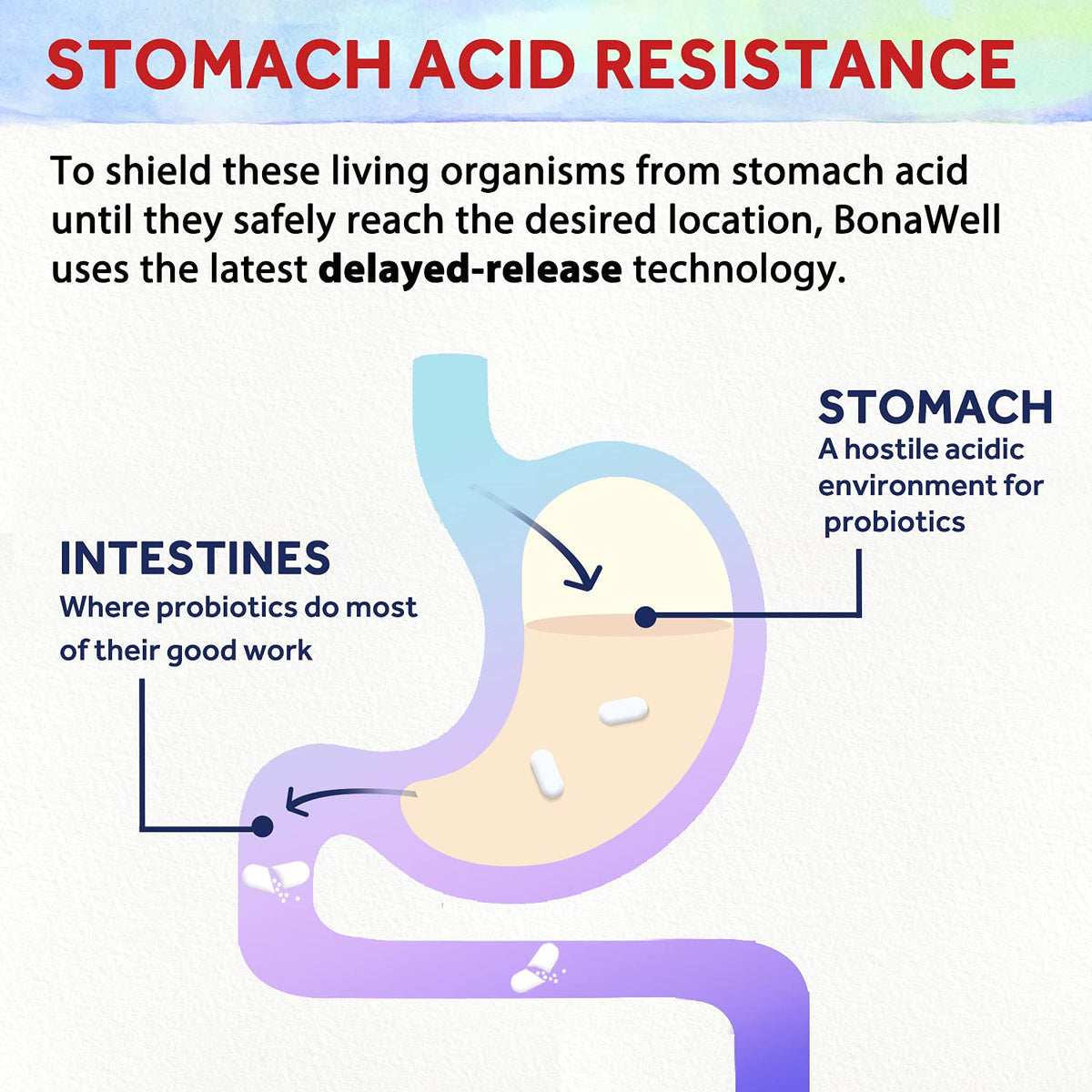 natural probiotics for overall health