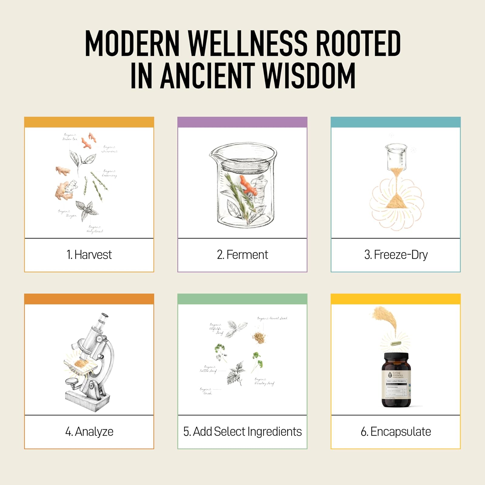 Natural probiotics for overall health