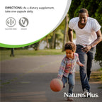 natural probiotics for overall health