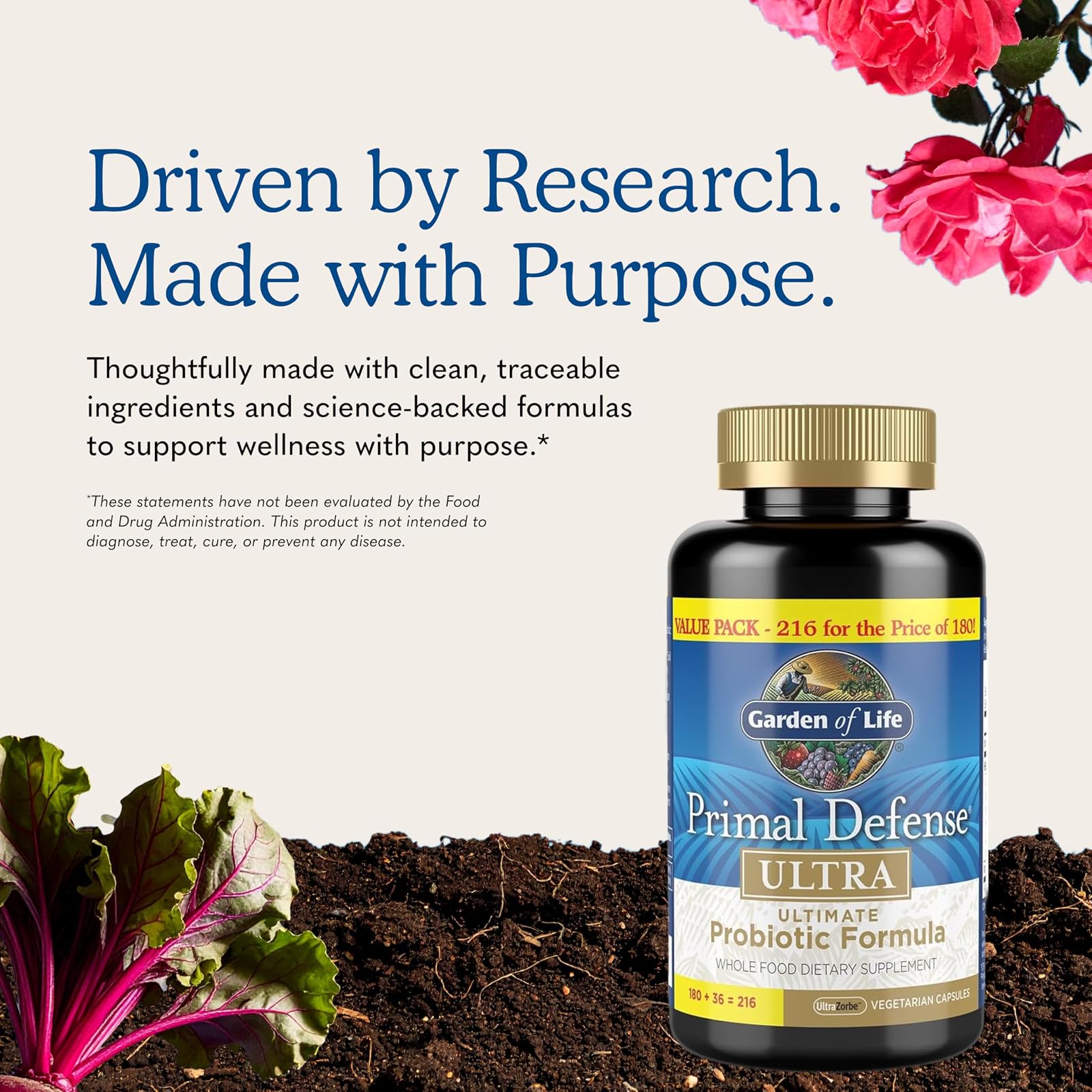 natural probiotics for overall wellness
