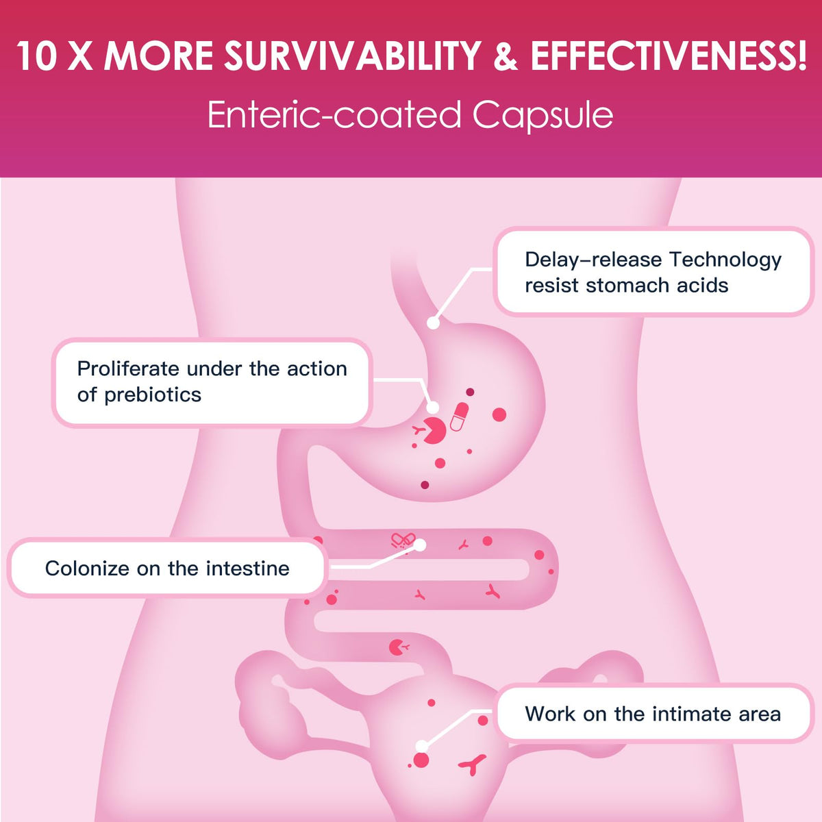 natural probiotics for women's wellness