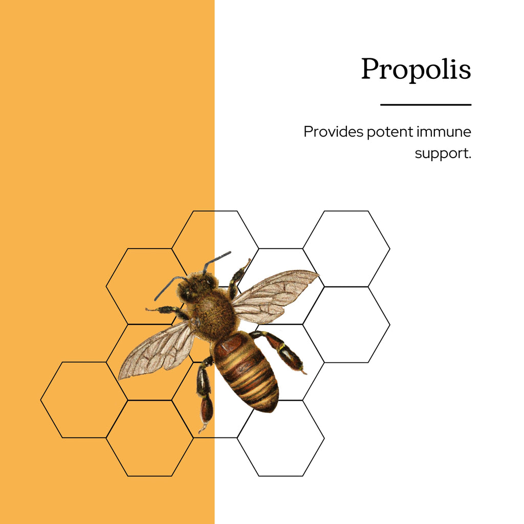 natural propolis supplement for wellness