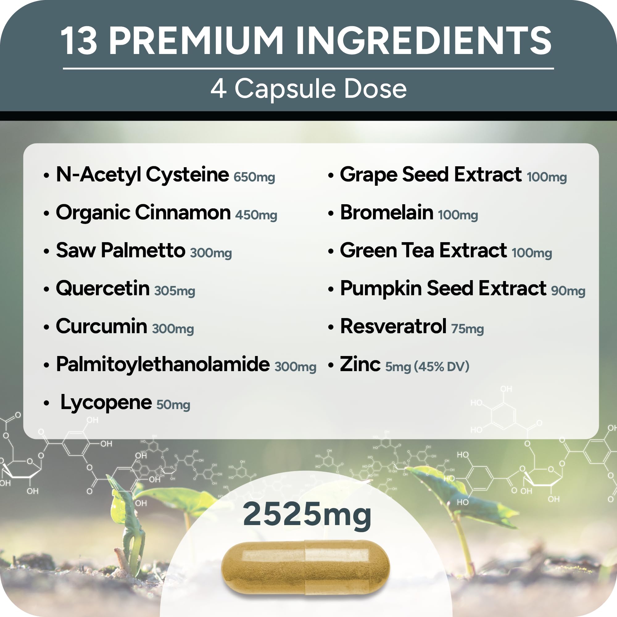 natural prostate health supplement