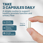 Natural prostate support capsules