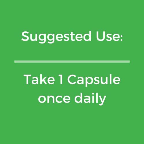 natural prostate support with saw palmetto