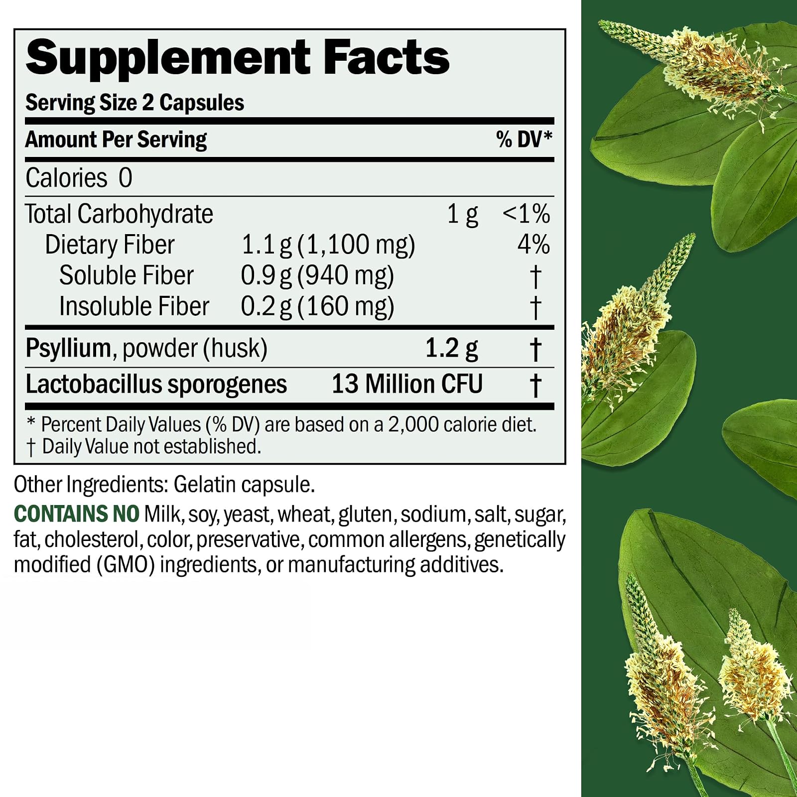 natural psyllium husk digestive support