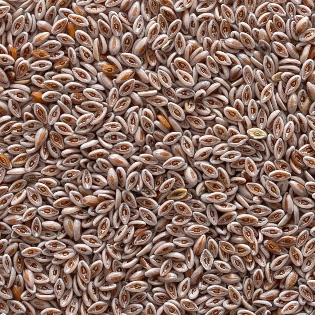 natural psyllium husk for gut health