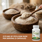 natural psyllium husk for gut health