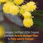 natural psyllium husk powder