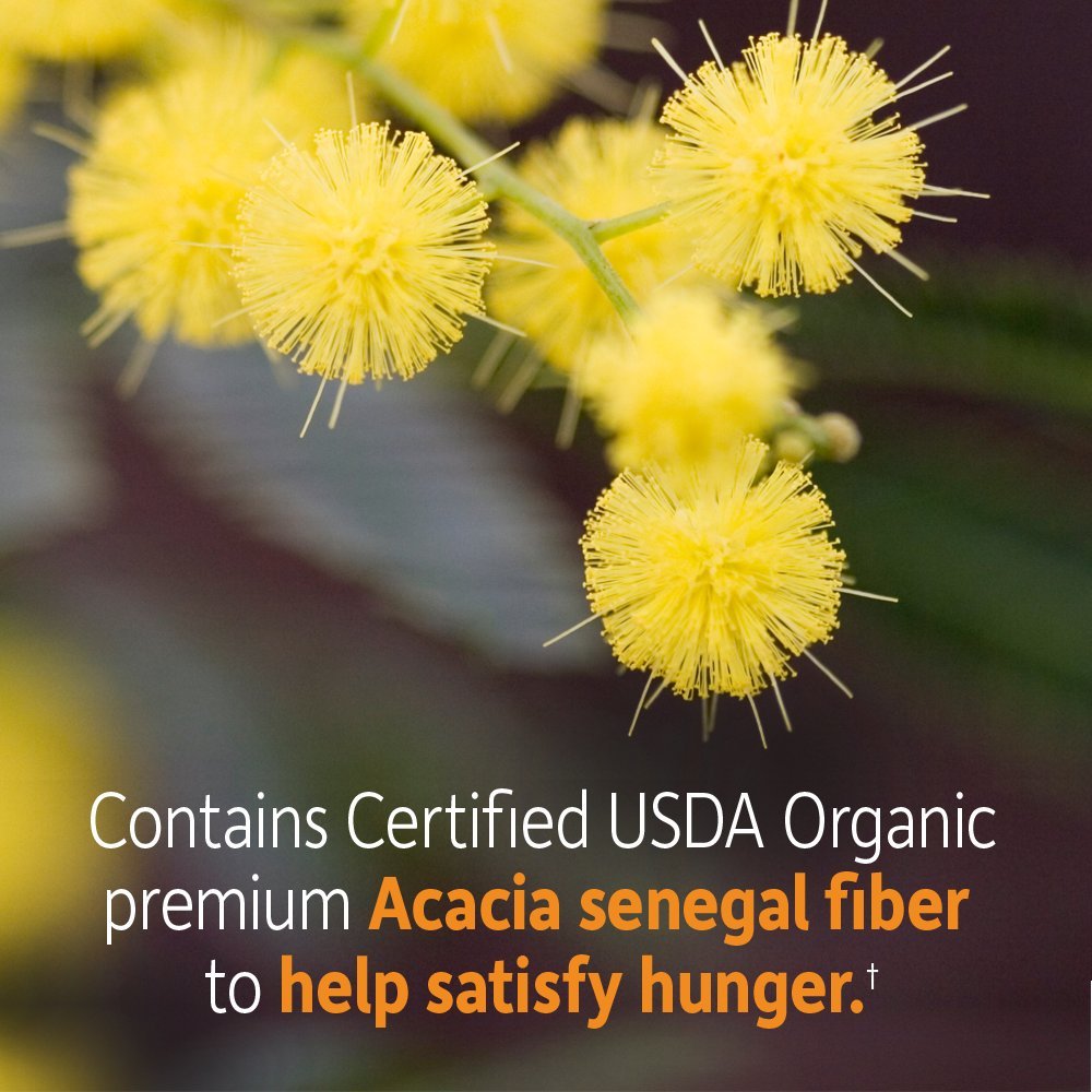 natural psyllium husk powder
