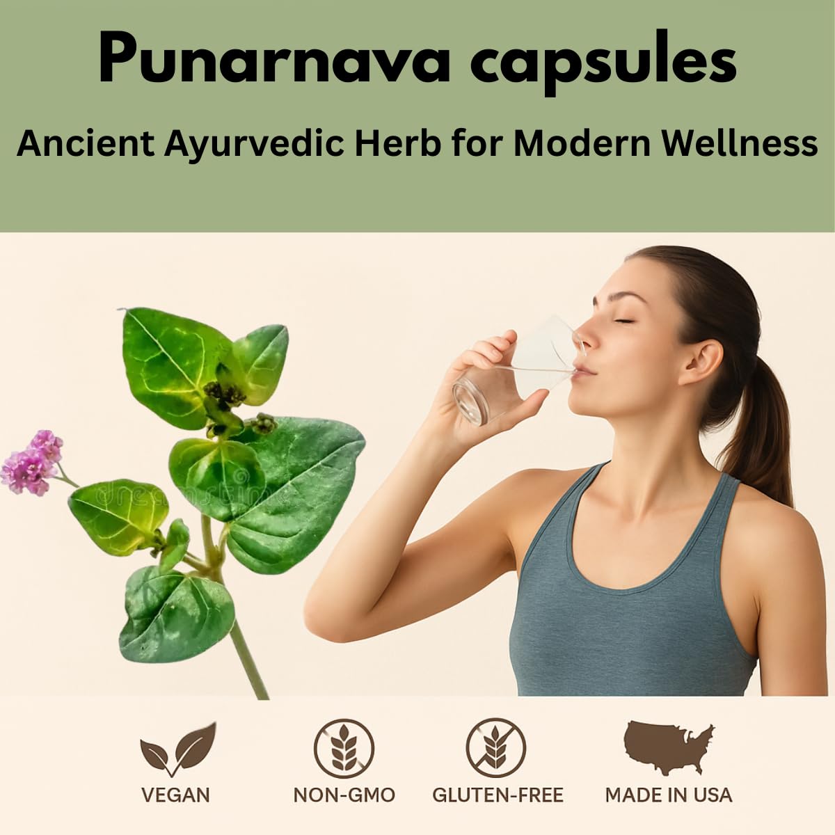 natural punarnava capsules for wellness