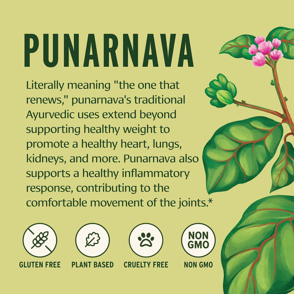 natural punarnava supplement for energy
