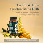 natural quercetin for immune support