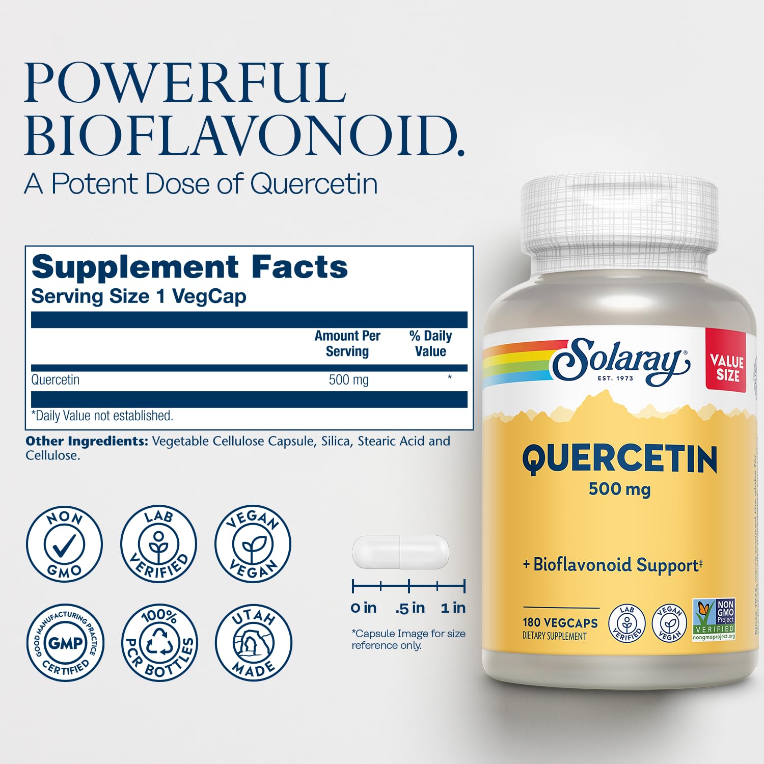 natural quercetin supplement for immune support