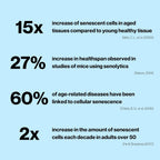 natural quercetin supplement for wellness