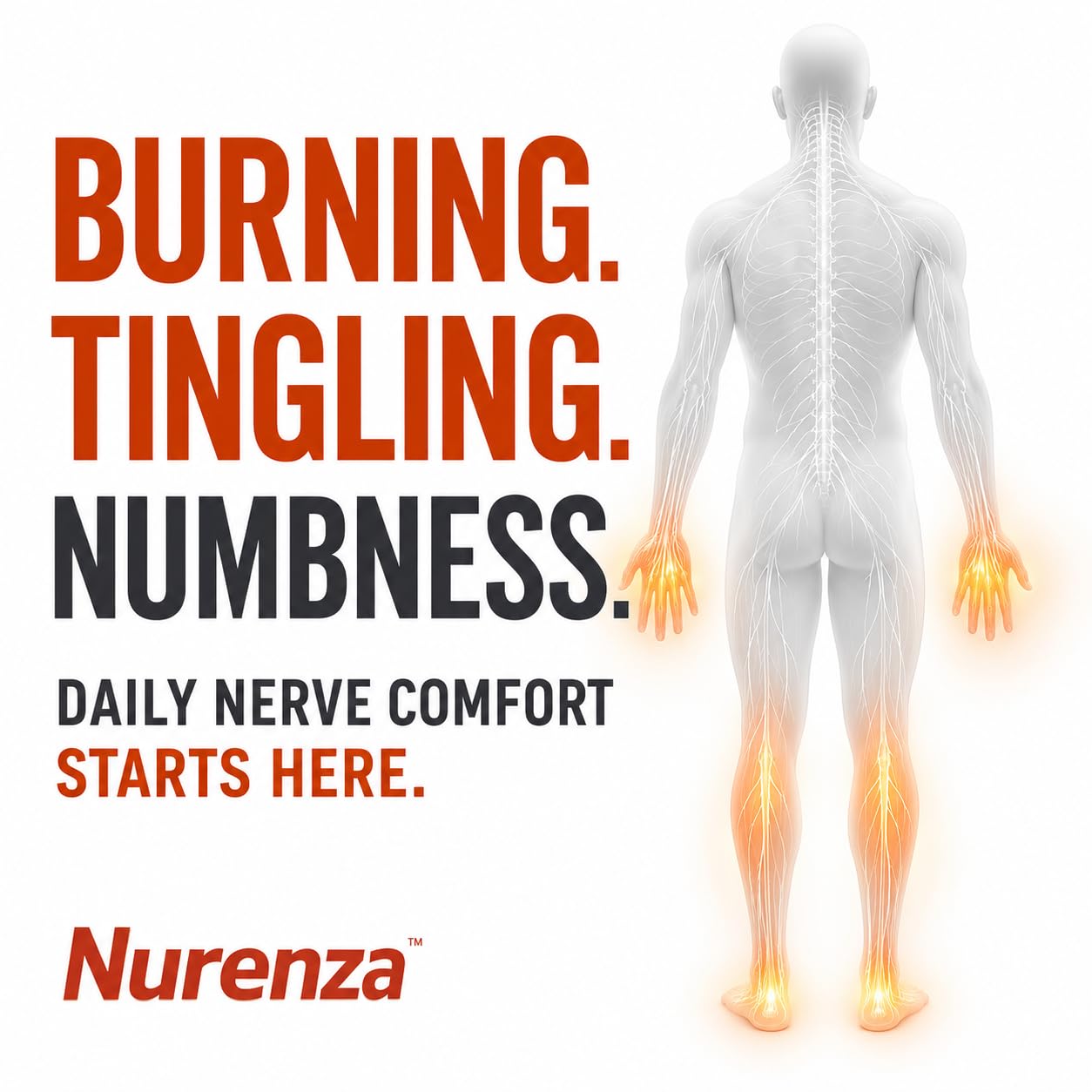 natural R-ALA for nerve function
