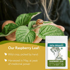 natural raspberry leaf tea remedy