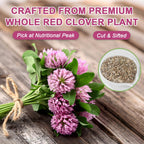 natural red clover tea for relaxation