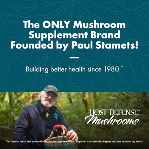 natural reishi adaptogen supplement