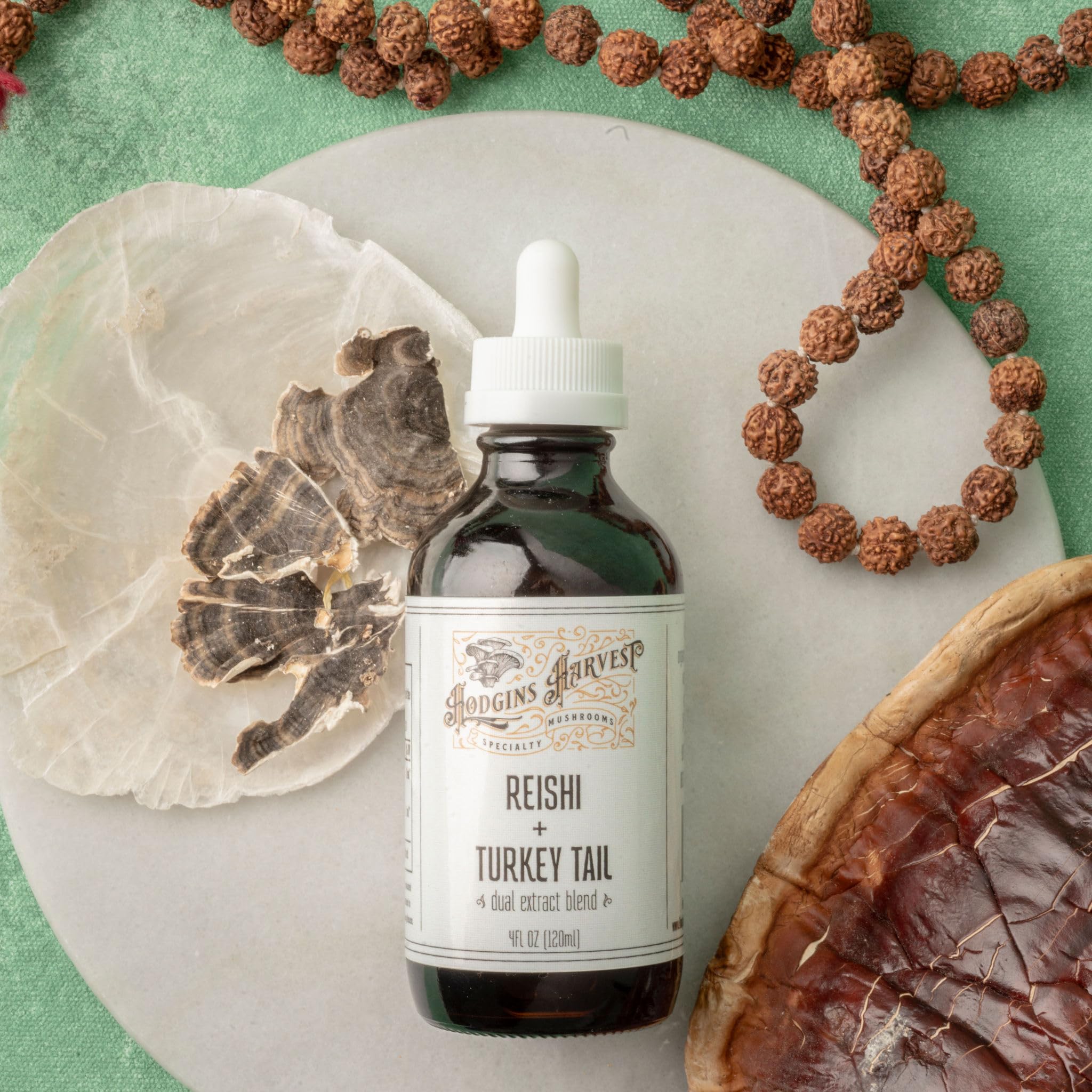natural reishi and turkey tail mushrooms