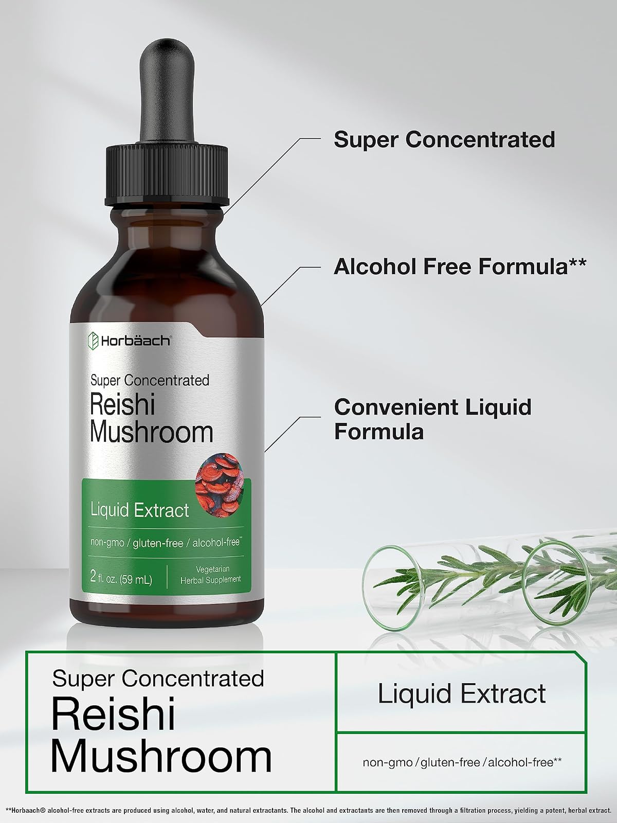 natural reishi extract for wellness