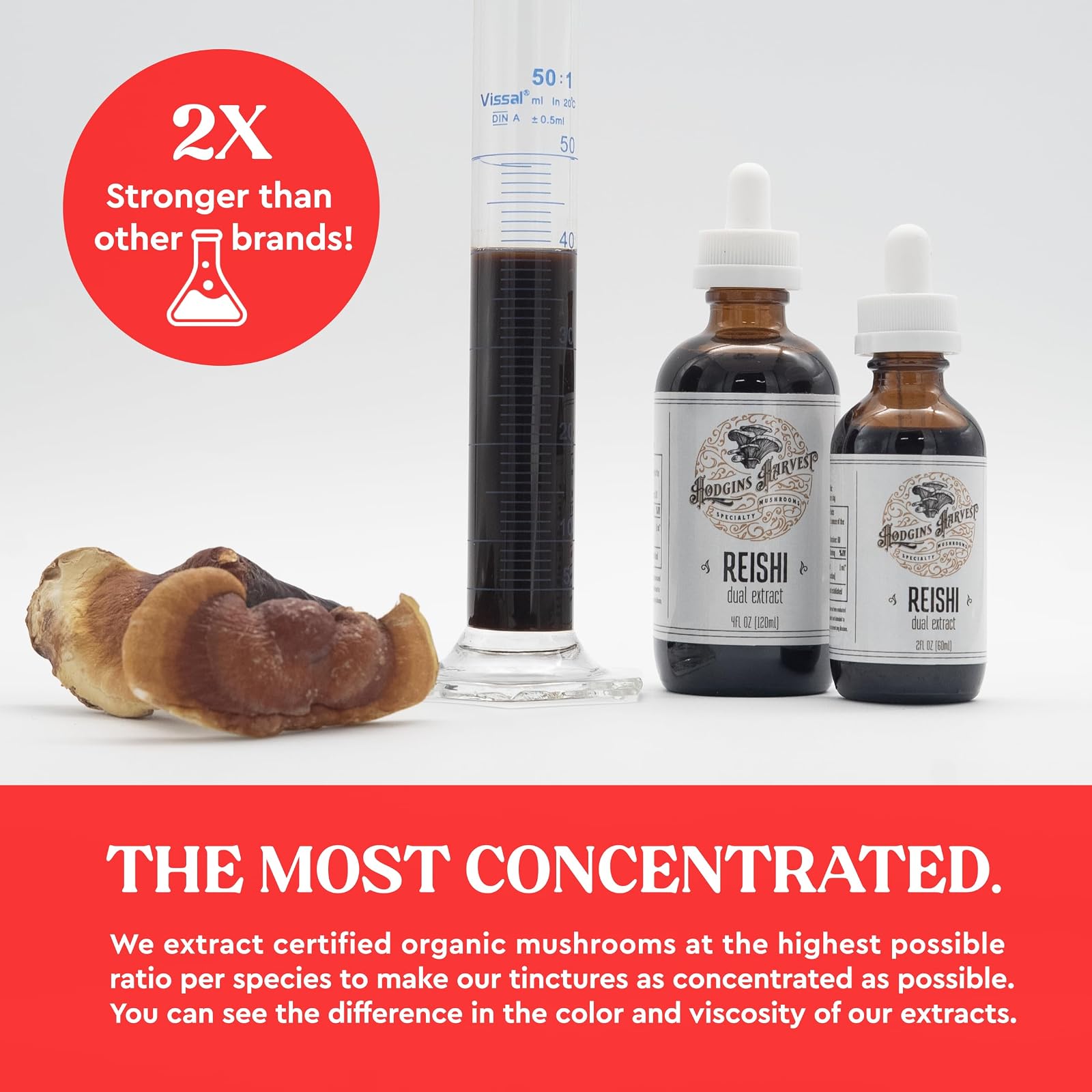 natural reishi for immune support