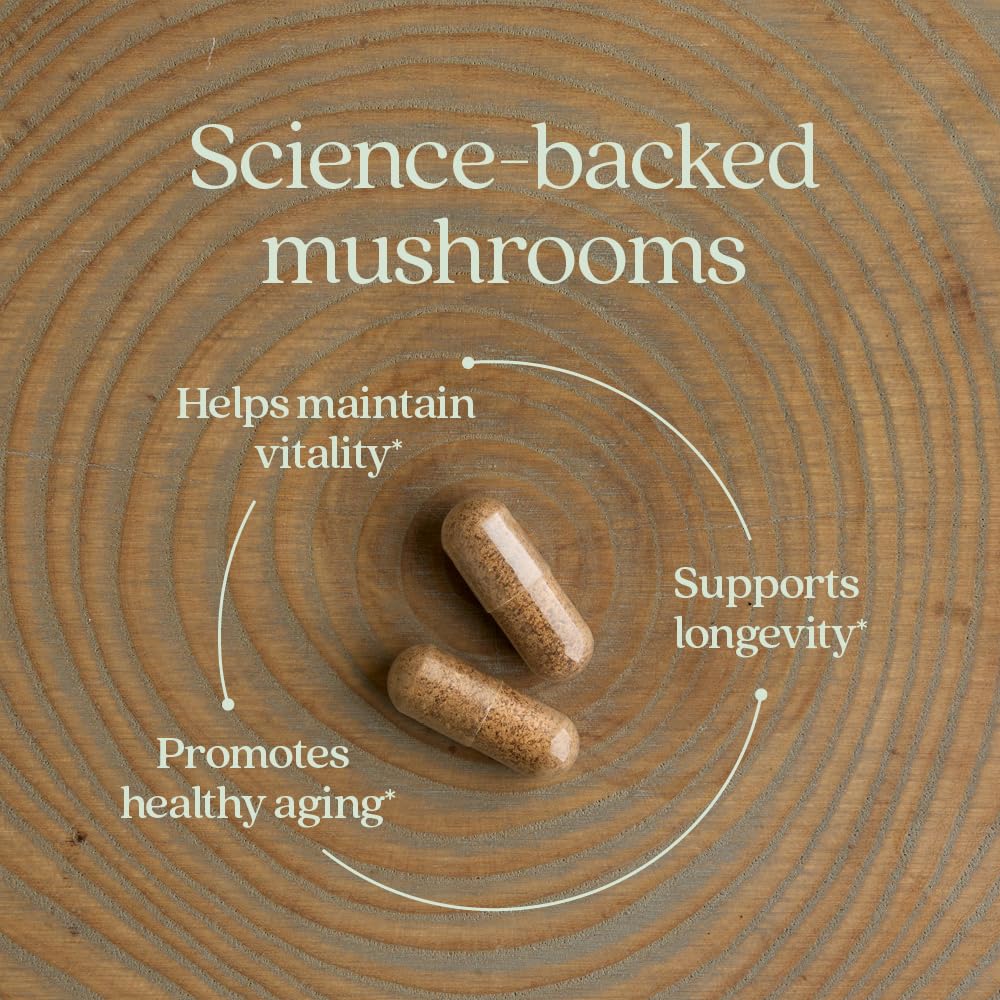 natural reishi mushroom supplement for vitality