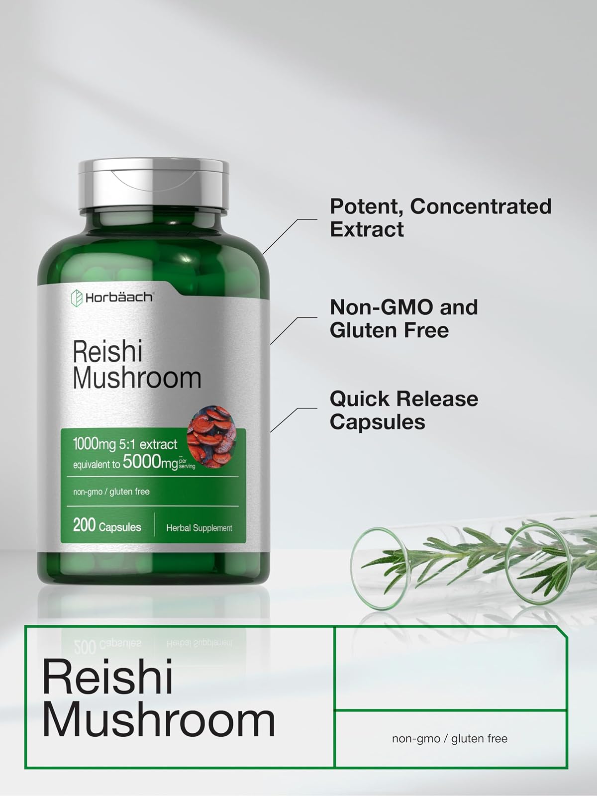 natural reishi mushroom supplement