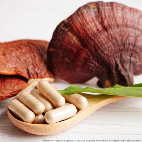 natural reishi mushrooms for daily health