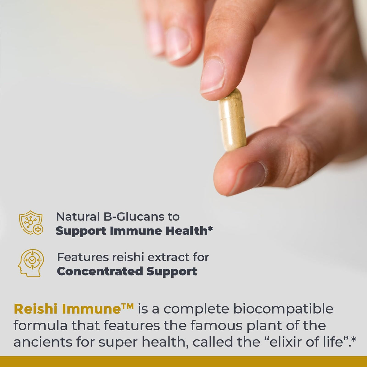 natural reishi supplement for immunity